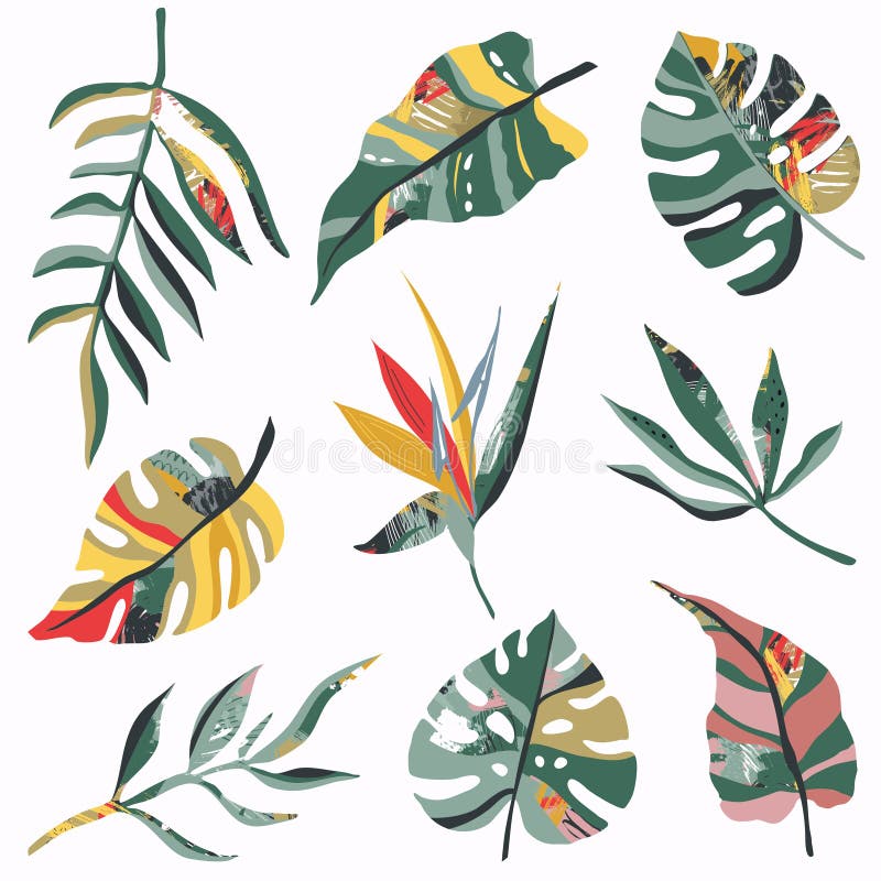 Vector Collection of Tropical Plants and Abstract Textures Stock Vector ...