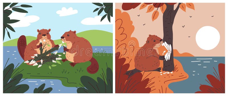 A Vector Collection of Two Illustrations Depicting Beavers in a Forest ...