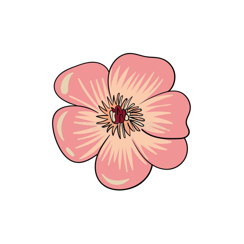 Vector Color Buttercup Icon, Flower Head, Isolated Stock Vector ...