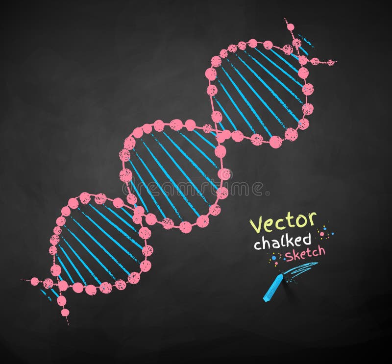 Life Science Dna Chalk Board Stock Illustrations – 14 Life Science Dna ...