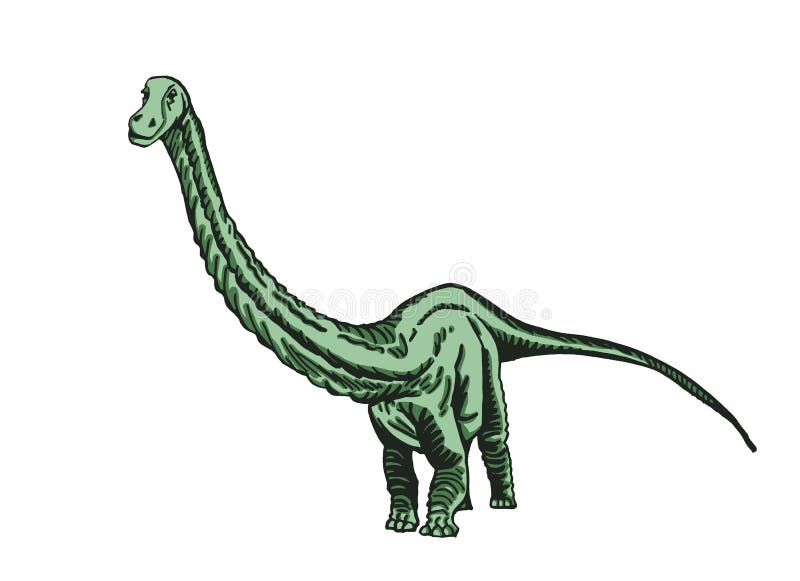 Vector Color Diplodocus Isolated on White Background, Graphical ...