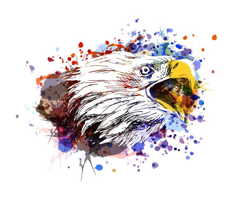 Vector Color Illustration of an Eagle Head Stock Vector - Illustration ...