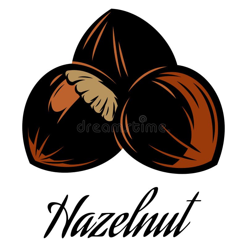 Hazelnut Broken Shell Stock Illustrations – 204 Hazelnut Broken Shell ...