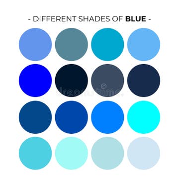 Vector Color Palette Set Design Template Multi Color Stock Vector ...