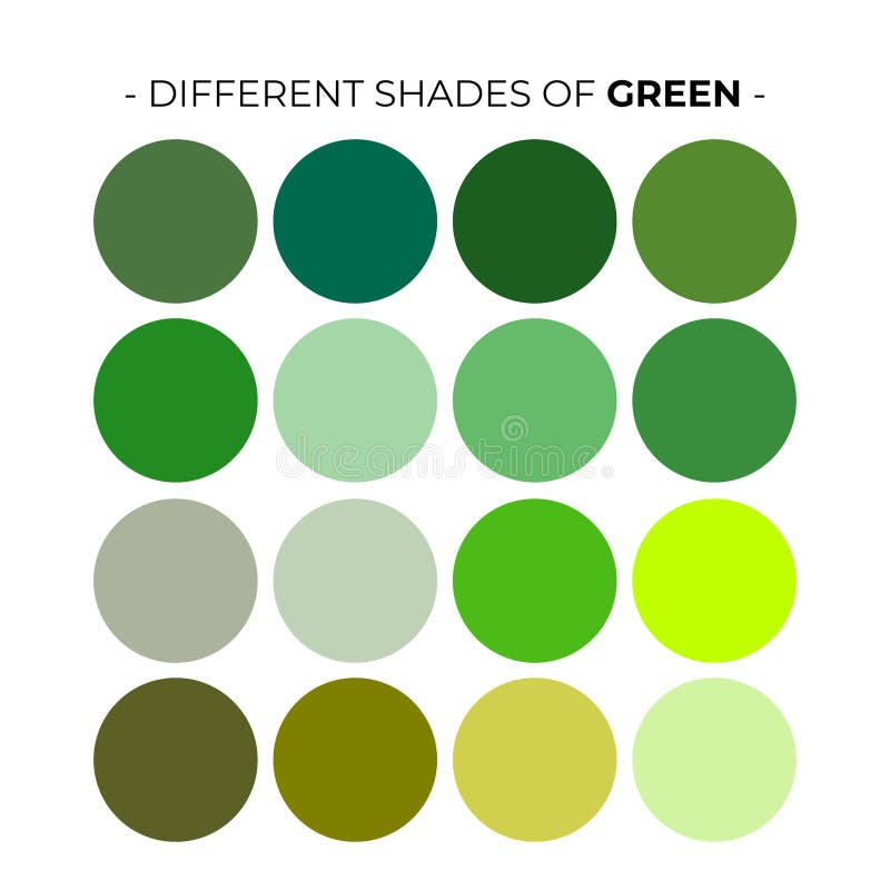 Vector Color Palette Set Design Template Multi Color Stock Vector ...