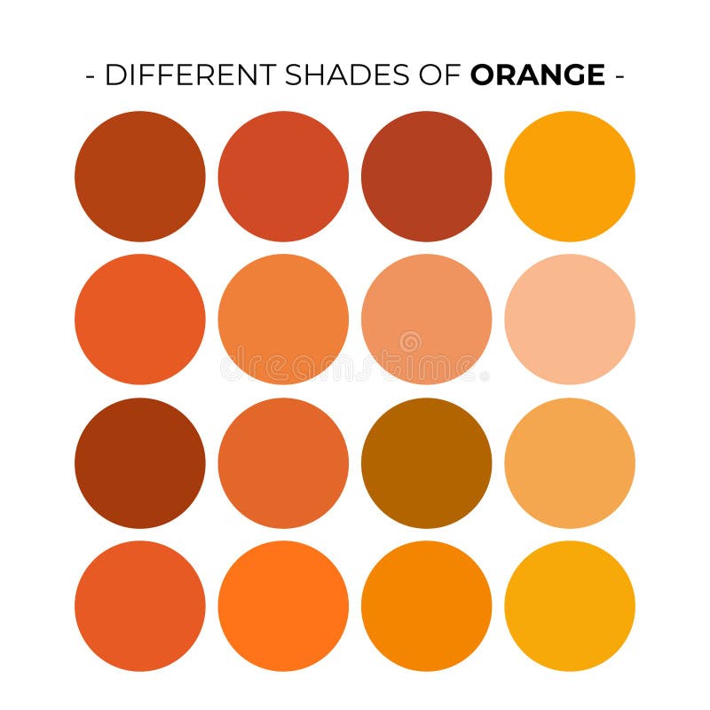 Vector Color Palette Set Design Template Multi Color Stock Vector ...