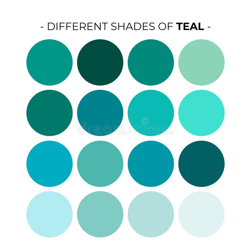 Vector Color Palette Set Design Template Multi Color Stock Vector ...