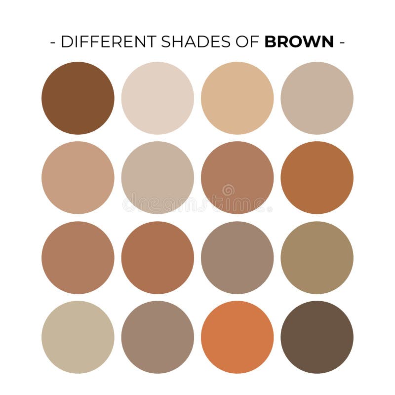 Vector Color Palette Set Design Template Multi Color Stock Vector ...