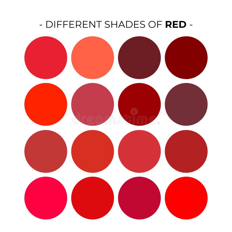 Vector Color Palette Set Design Template Multi Color Stock Vector ...