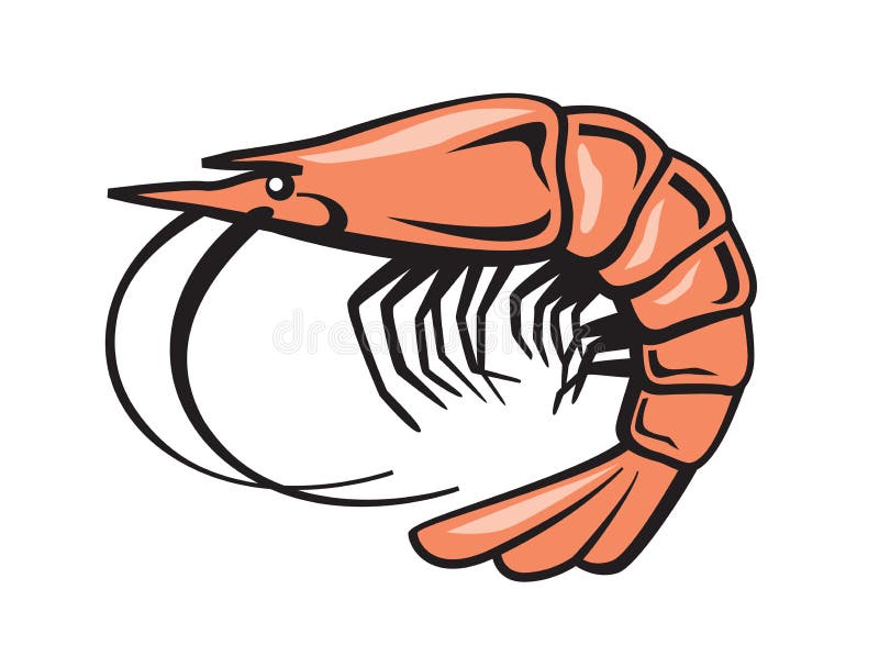 Vector color prawn stock vector. Illustration of icon - 62875846