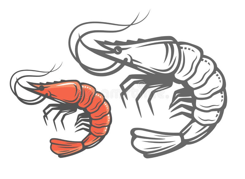 Prawn Stock Illustrations – 38,151 Prawn Stock Illustrations, Vectors ...