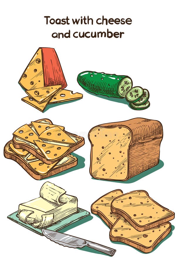 Vector Color Sketch Toast with Cheese and Cucumber Stock Vector ...