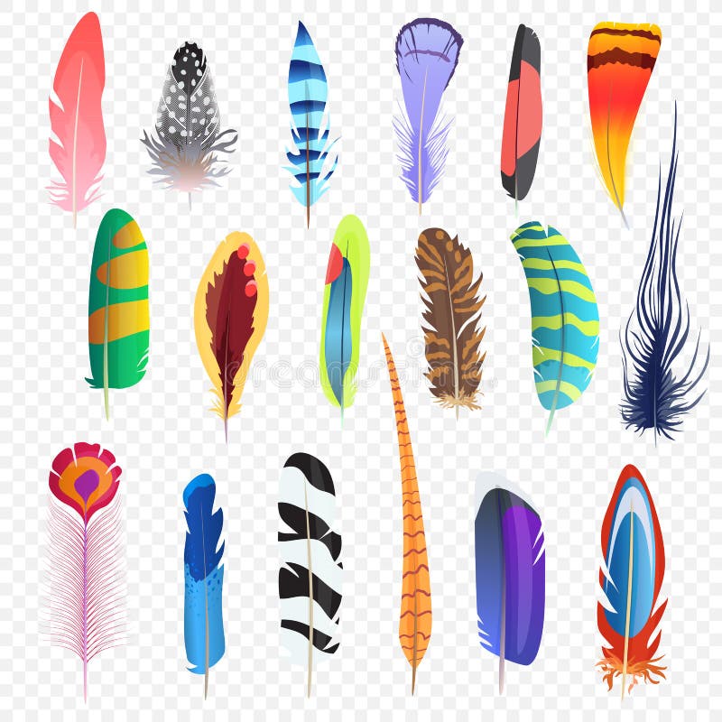 Bird Feather Alpha Stock Illustrations – 75 Bird Feather Alpha Stock ...