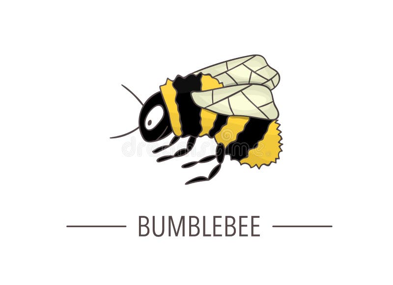 Bumblebee Bat Icon Vector Illustration Stock Vector - Illustration of ...