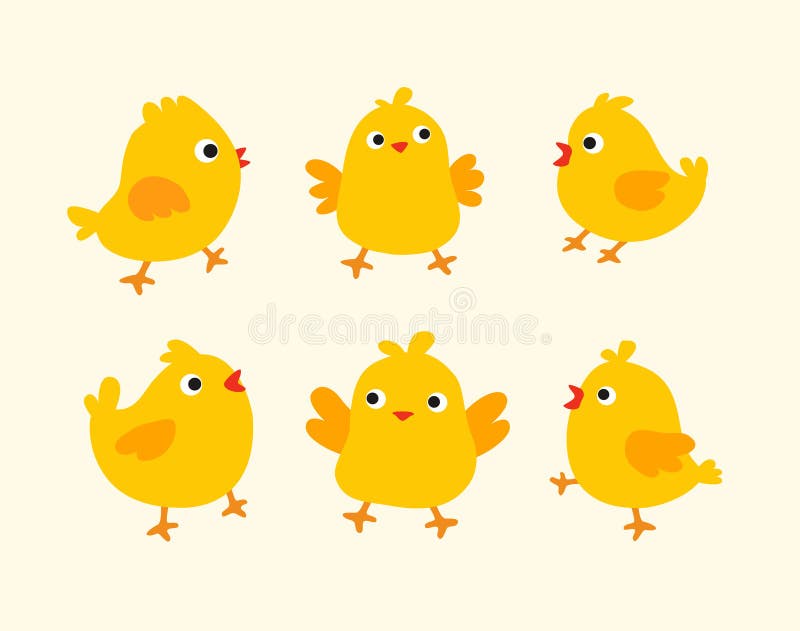 Vector Colored Chick Collection, Vector Illustration Stock Illustration ...