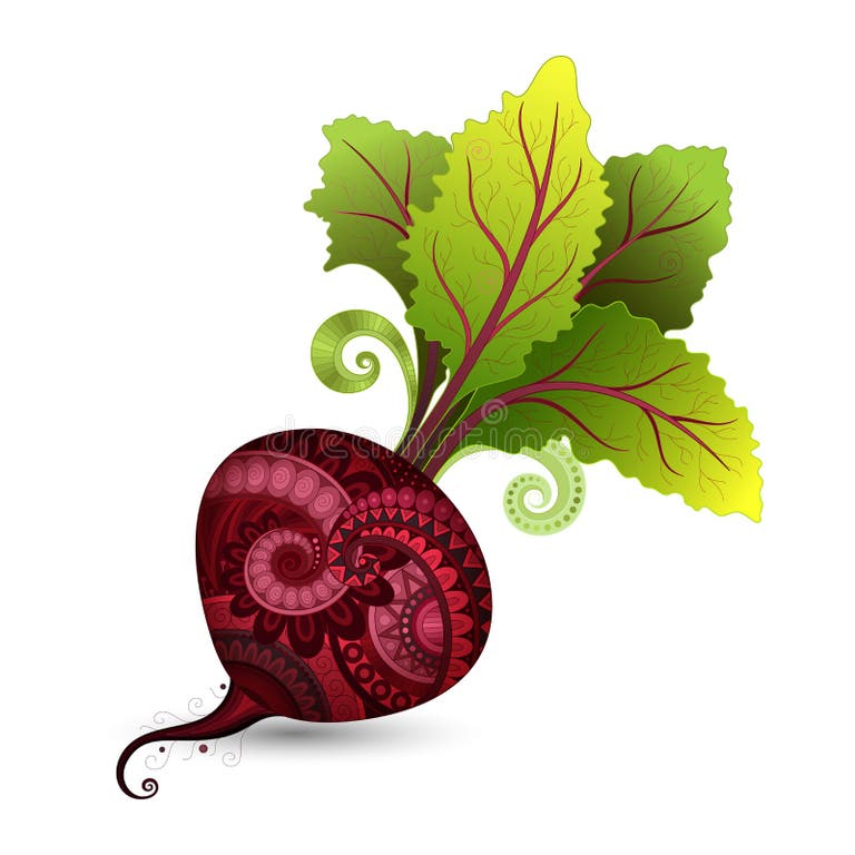 Red Beet Vector Stock Illustrations – 3,471 Red Beet Vector Stock ...