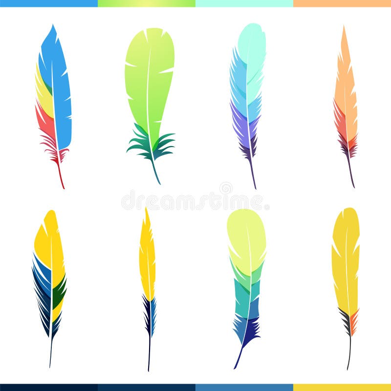 Vector Colored Feathers Set Stock Vector - Illustration of element ...