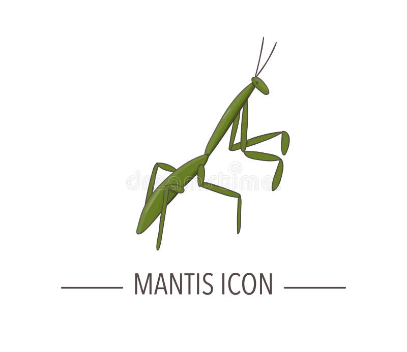 Vector Colored Mantis Icon Isolated On White Background Stock Vector ...