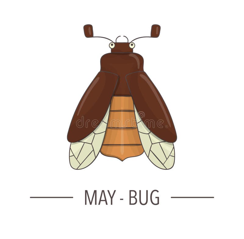 Creepy Bug Logo Picture. Image: 1059046