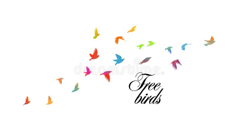 A Flock of Colorful Birds. Vector Illustration Stock Vector ...
