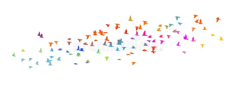 A Flock of Colorful Birds. Vector Illustration Stock Vector ...