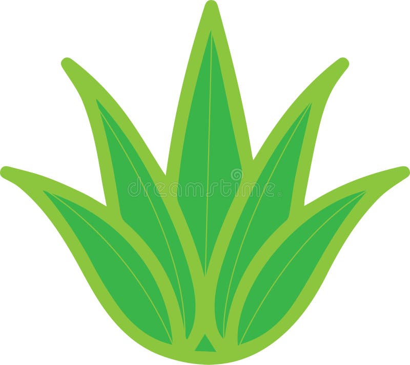 Vector Colorful Icon for Agave Stock Vector - Illustration of flower ...