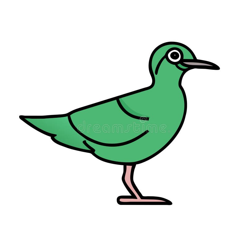 Aleutian Tern Bird Green Icon Vector Illustration Stock Vector Illustration Of Alaotra Person