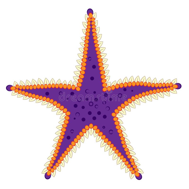 Red and Purple Starfish Pattern on Sandy Beach Stock Vector ...