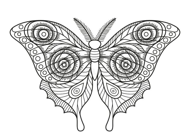 Vector Coloring Book Page Silhouette Of Elegant Butterfly Or Moth In