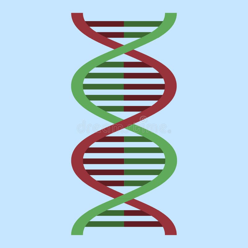 Vector Spiral Wooden Staircase with a Fence. Illustration. Stock Vector ...