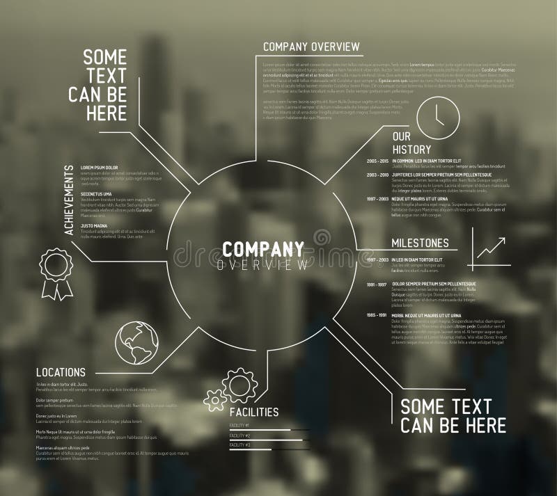 Vector Company Infographic Overview Design Template Stock Illustration ...