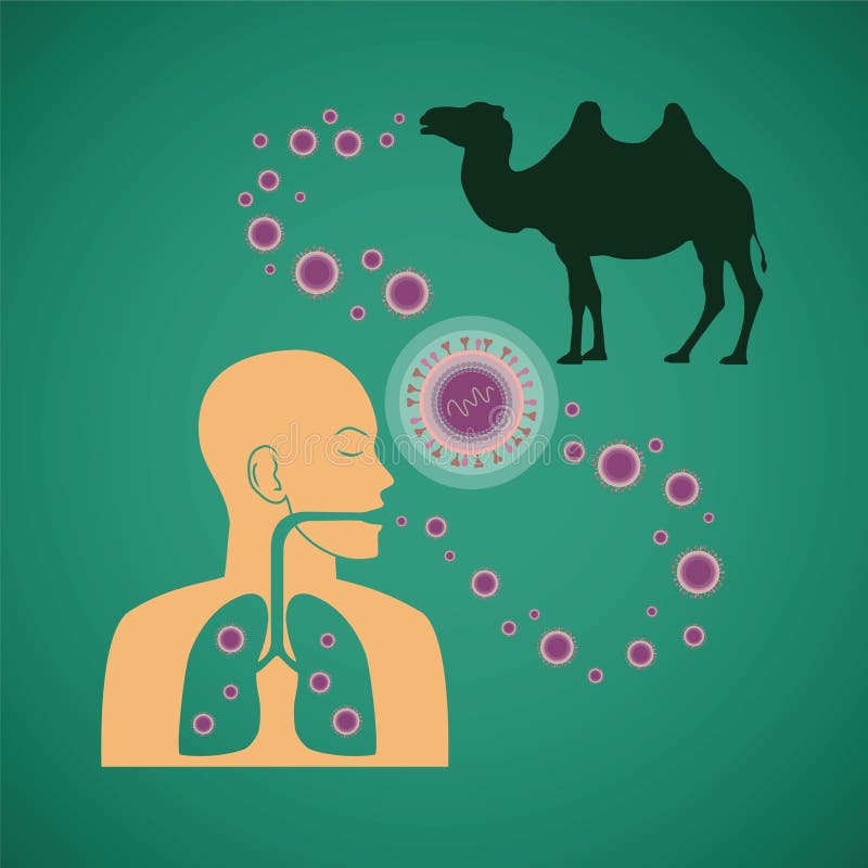 MERS Virus, Meadle-East Respiratory Syndrome Coronovirus. Germs, Macro ...