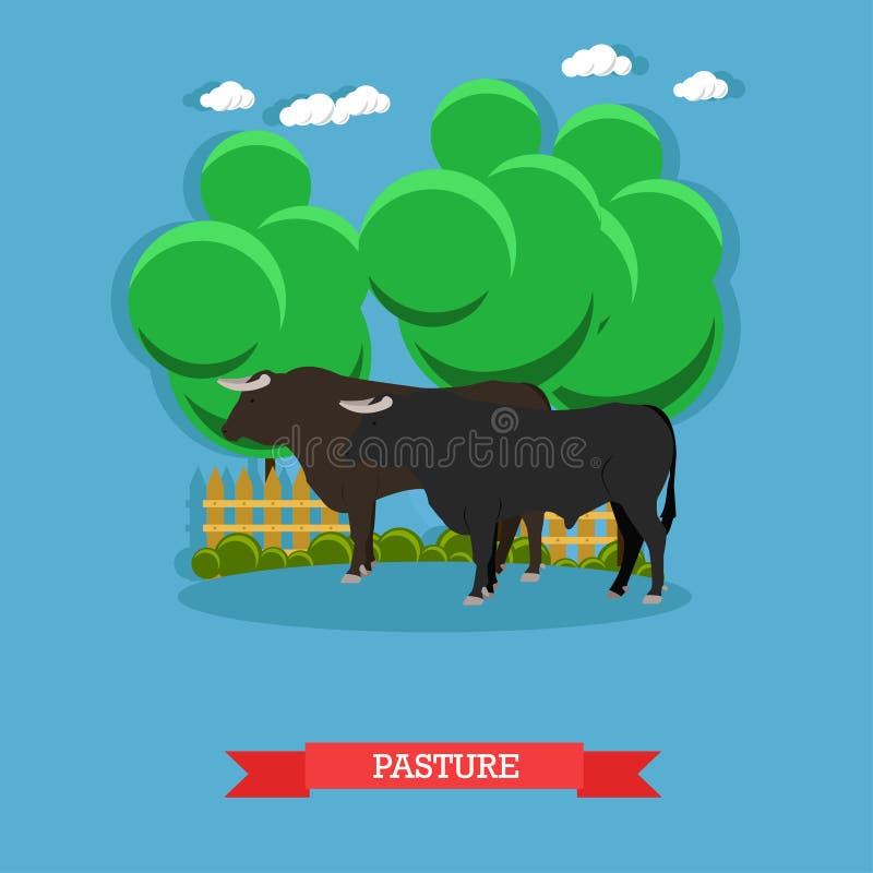Vector Concept Poster of Beef Farm. Grazing Cattle on a Pasture Stock ...