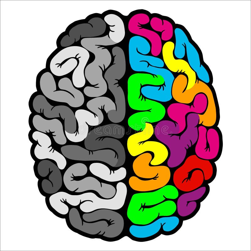 Brain Logical Mind Backspin Stock Illustration - Illustration of ...
