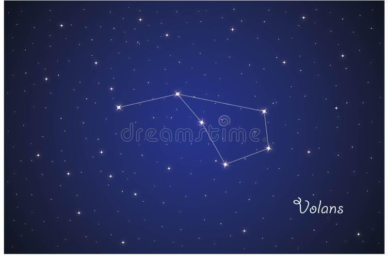 Volans Constellation, Vector Illustration with the Names of Basic Stars ...