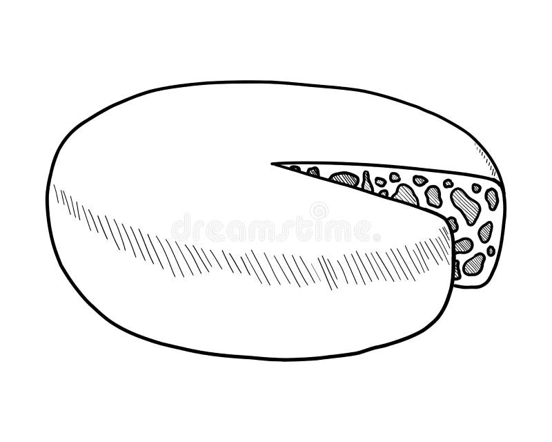 VECTOR CONTOUR DRAWING of a CHEESE HEAD on a WHITE BACKGROUND Stock ...