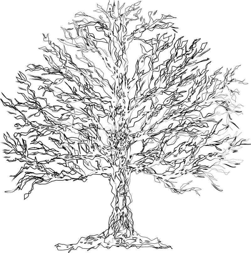 Drawing of a Deciduous Tree with Bushes and a Stone with Grass Stock ...