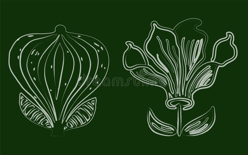Vector Contour Drawings of Vintage Floral Decorative Design Elements ...