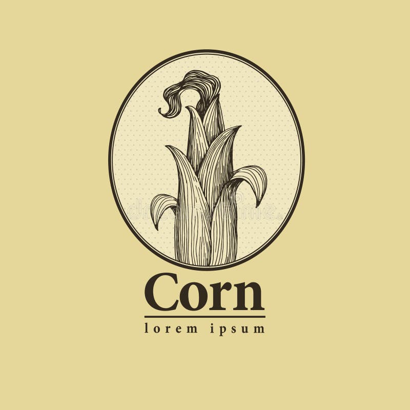 Corn Cob Logo Stock Illustrations – 2,178 Corn Cob Logo Stock ...