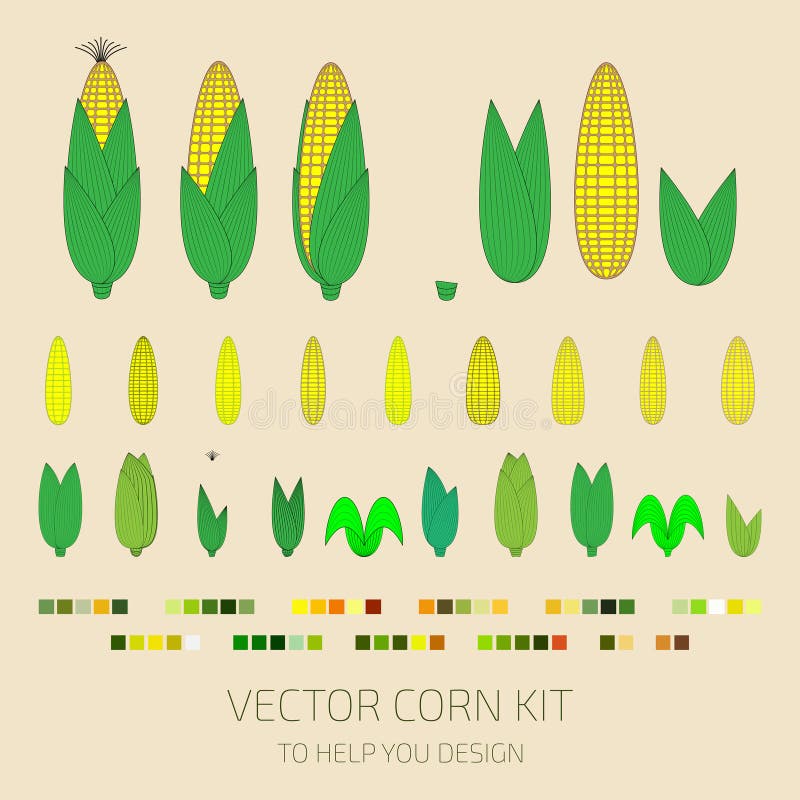 Vector Corn Constructor. Help for the Designer Stock Vector ...