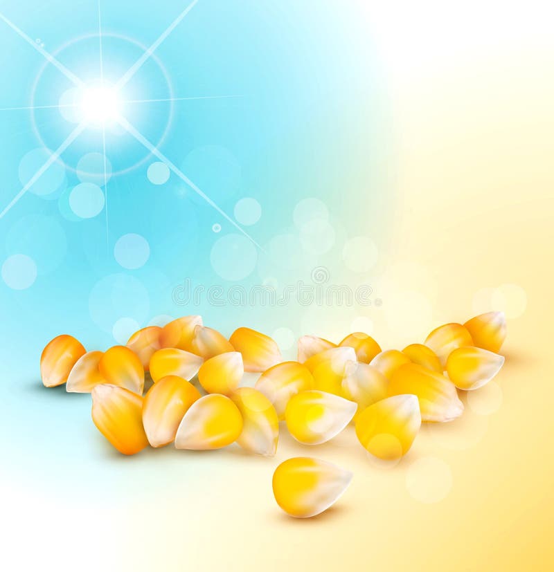 Vector Corn on a Gold-blue Background Stock Vector - Illustration of ...