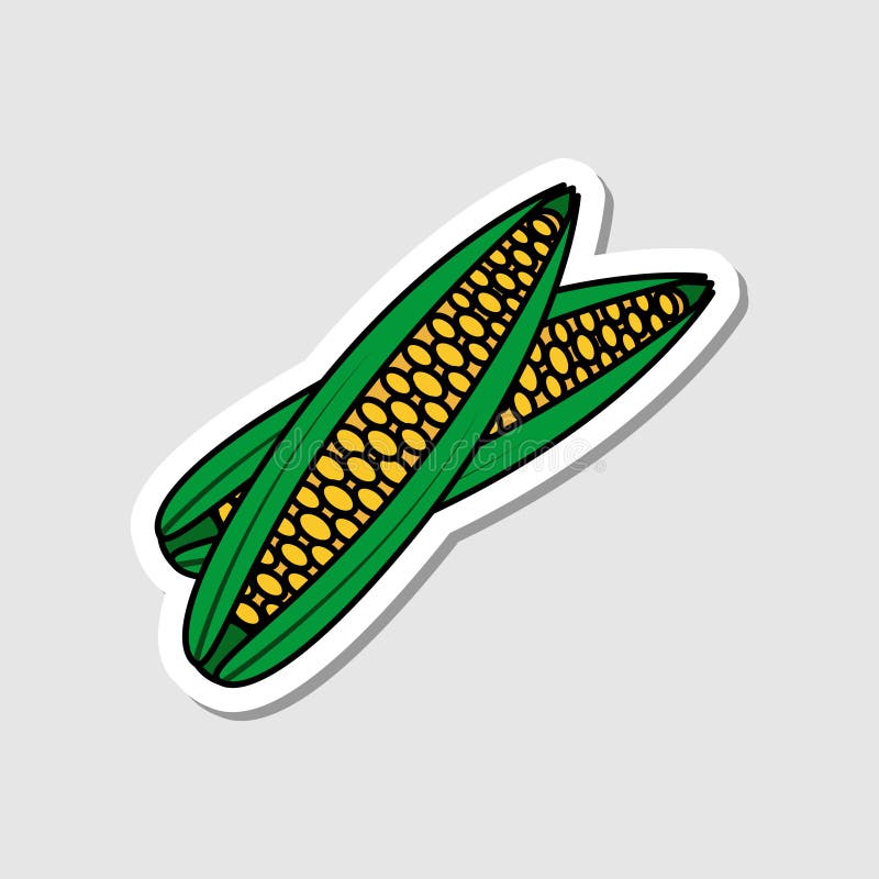 Vector Corn Sticker in Cartoon Style. Isolated Vegetable with Shadow ...