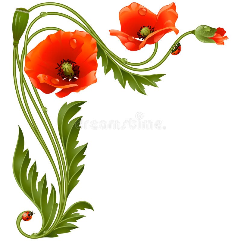 Poppy Corner Stock Illustrations – 1,001 Poppy Corner Stock ...