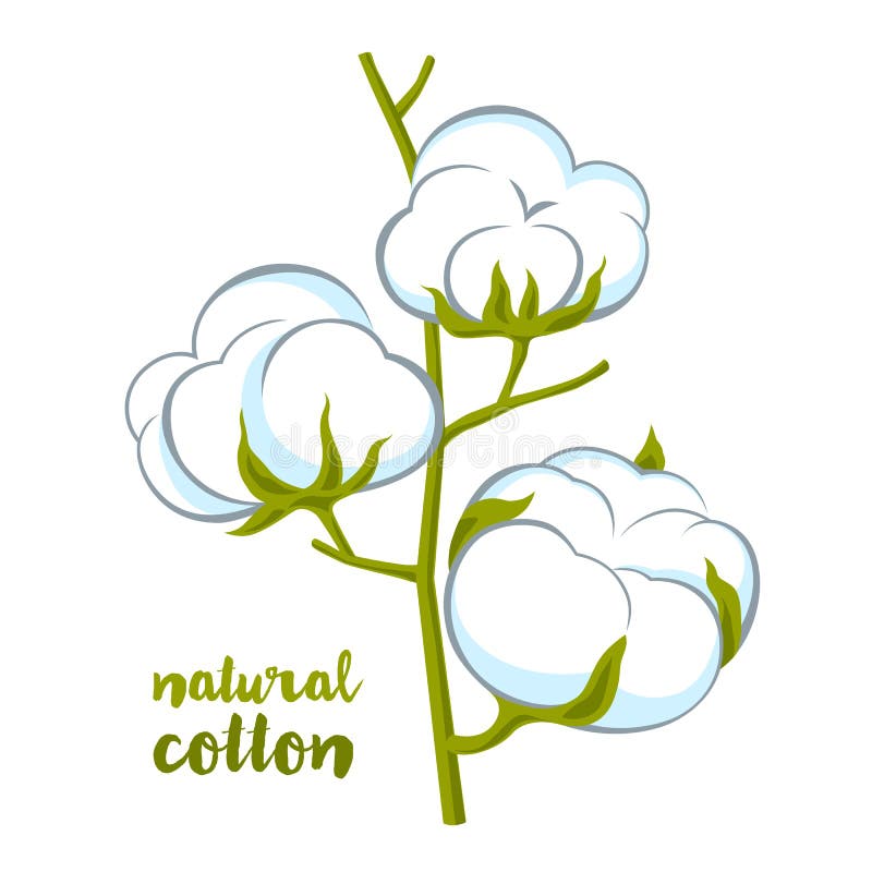 Cotton Growing Stock Illustrations – 1,081 Cotton Growing Stock ...