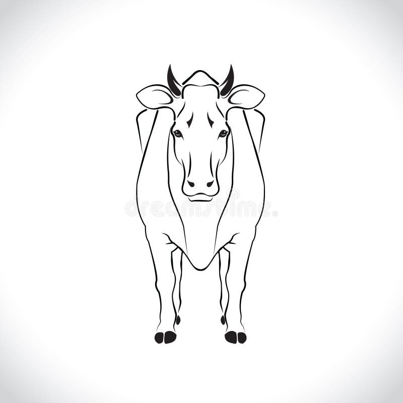 Cow Detail Vector Stock Illustrations – 424 Cow Detail Vector Stock ...