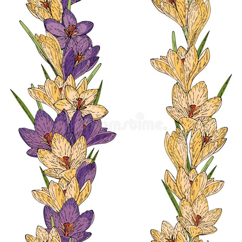 Vector card with crocuses stock vector. Illustration of draw - 148117325