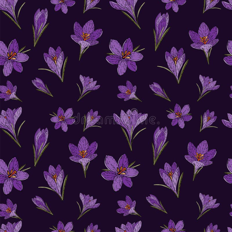 Vector card with crocuses stock vector. Illustration of multicolor ...