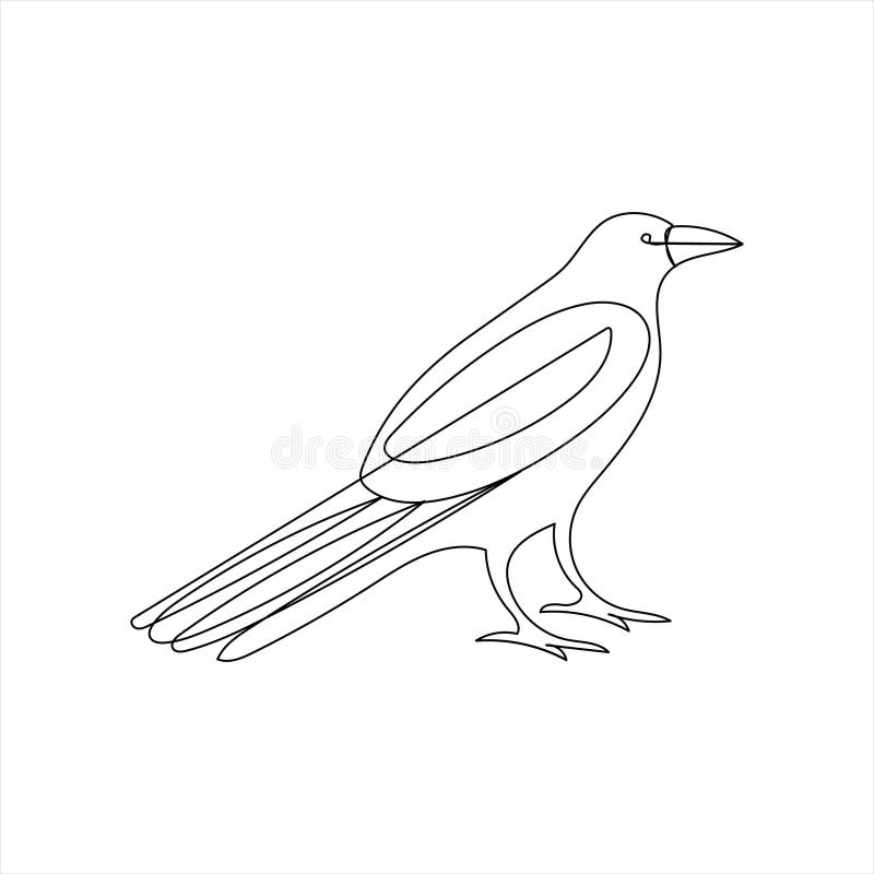Crow Drawing by One Continuous Line Stock Vector - Illustration of ...