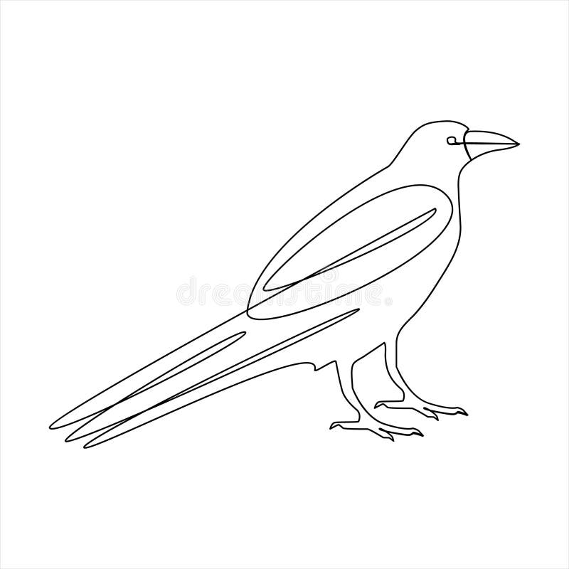 Vector Crow Drawing in One Continuous Line Isolated on White Background ...