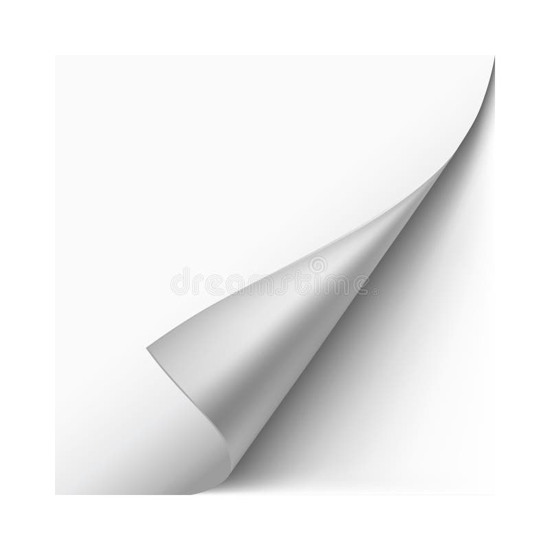 Vector of Curled Paper Corner with Shadow, Realistic Texture. Stock ...